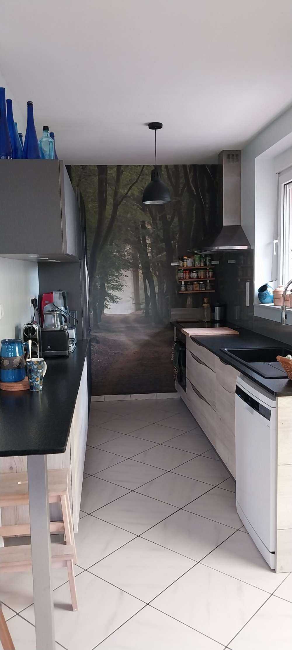 Fototapete - Sandweg im Wald - Fototapete