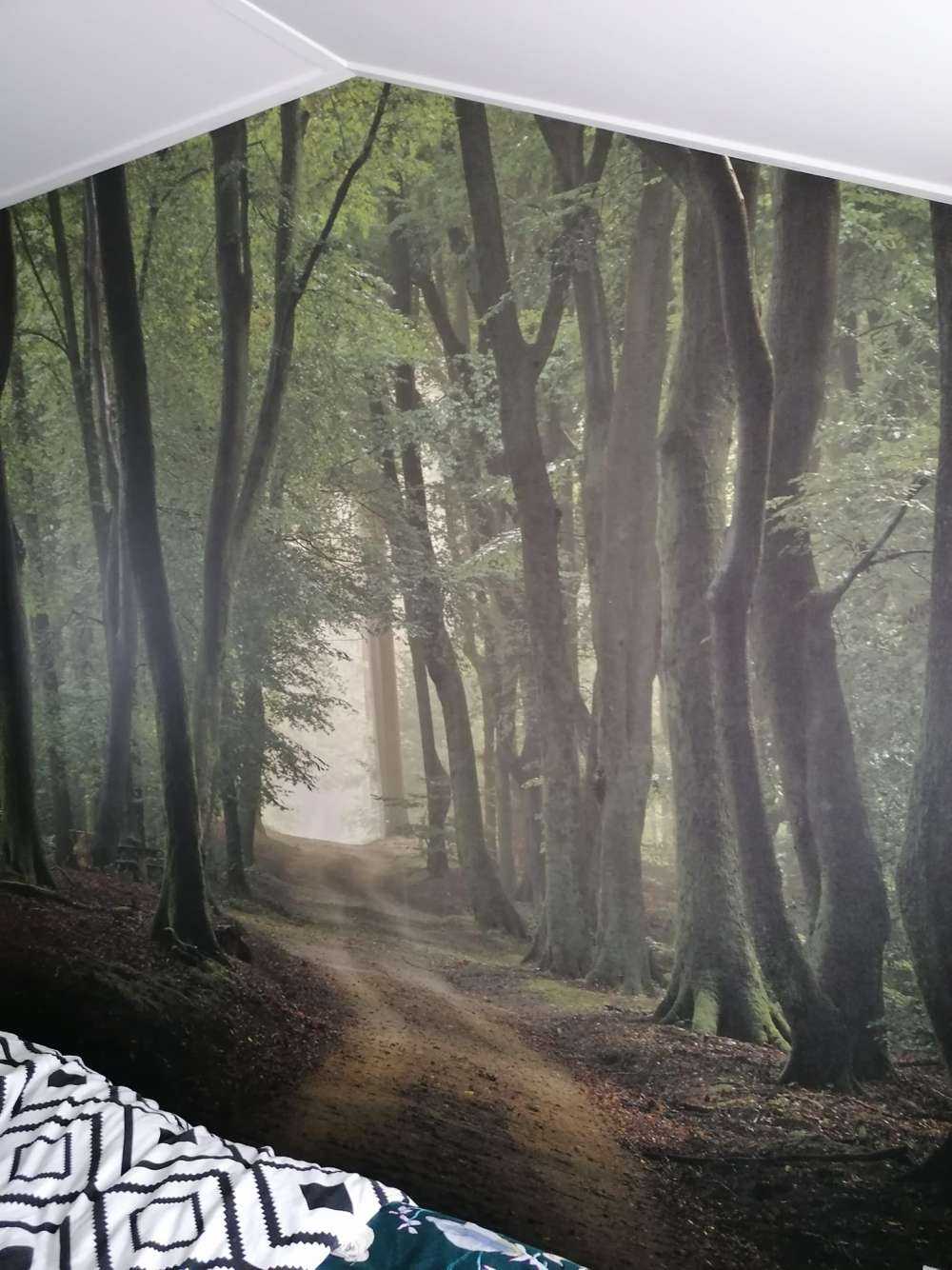 Fototapete - Sandweg im Wald - Fototapete