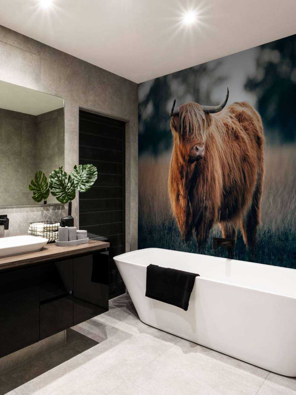 Fototapete - Porträt von Highlandern - Fototapete