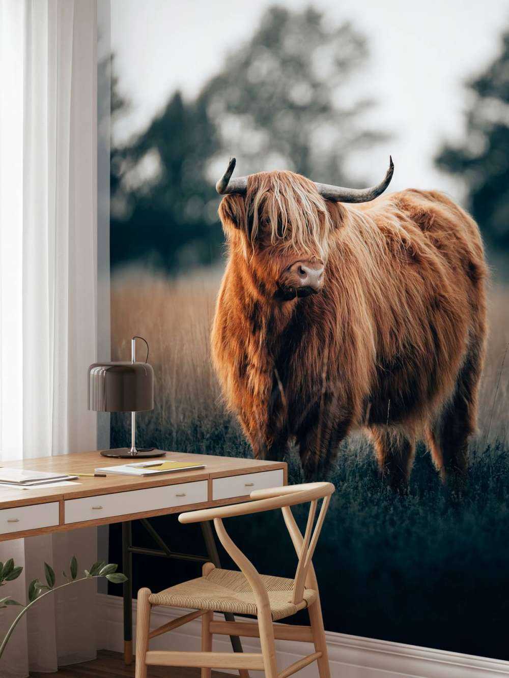 Fototapete - Porträt von Highlandern - Fototapete