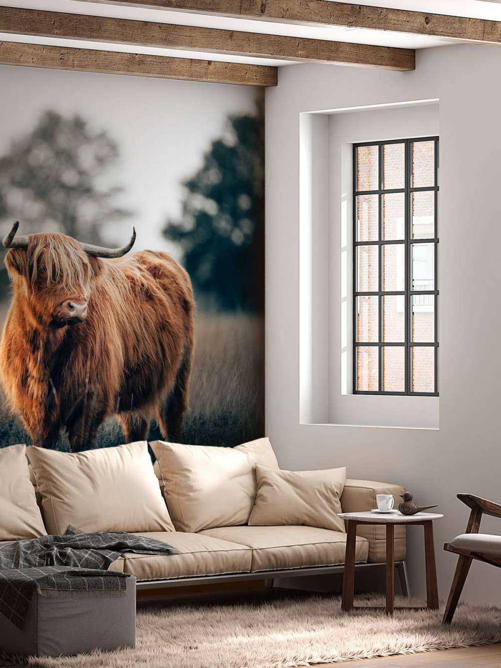 Fototapete - Porträt von Highlandern - Fototapete