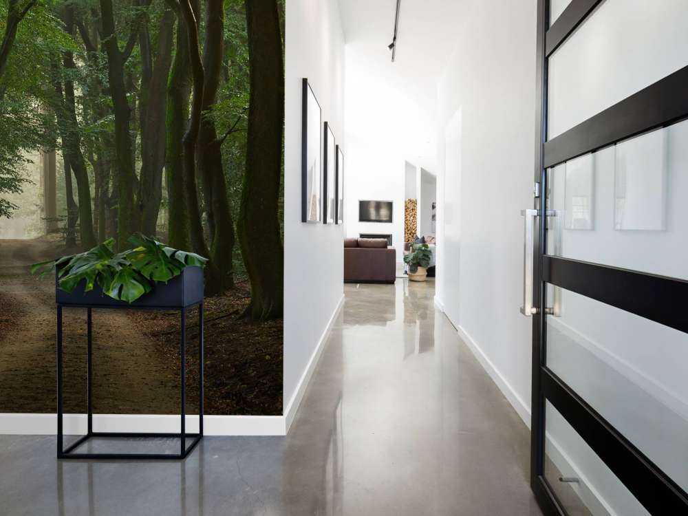 Fototapete - Sandweg im Wald - Fototapete